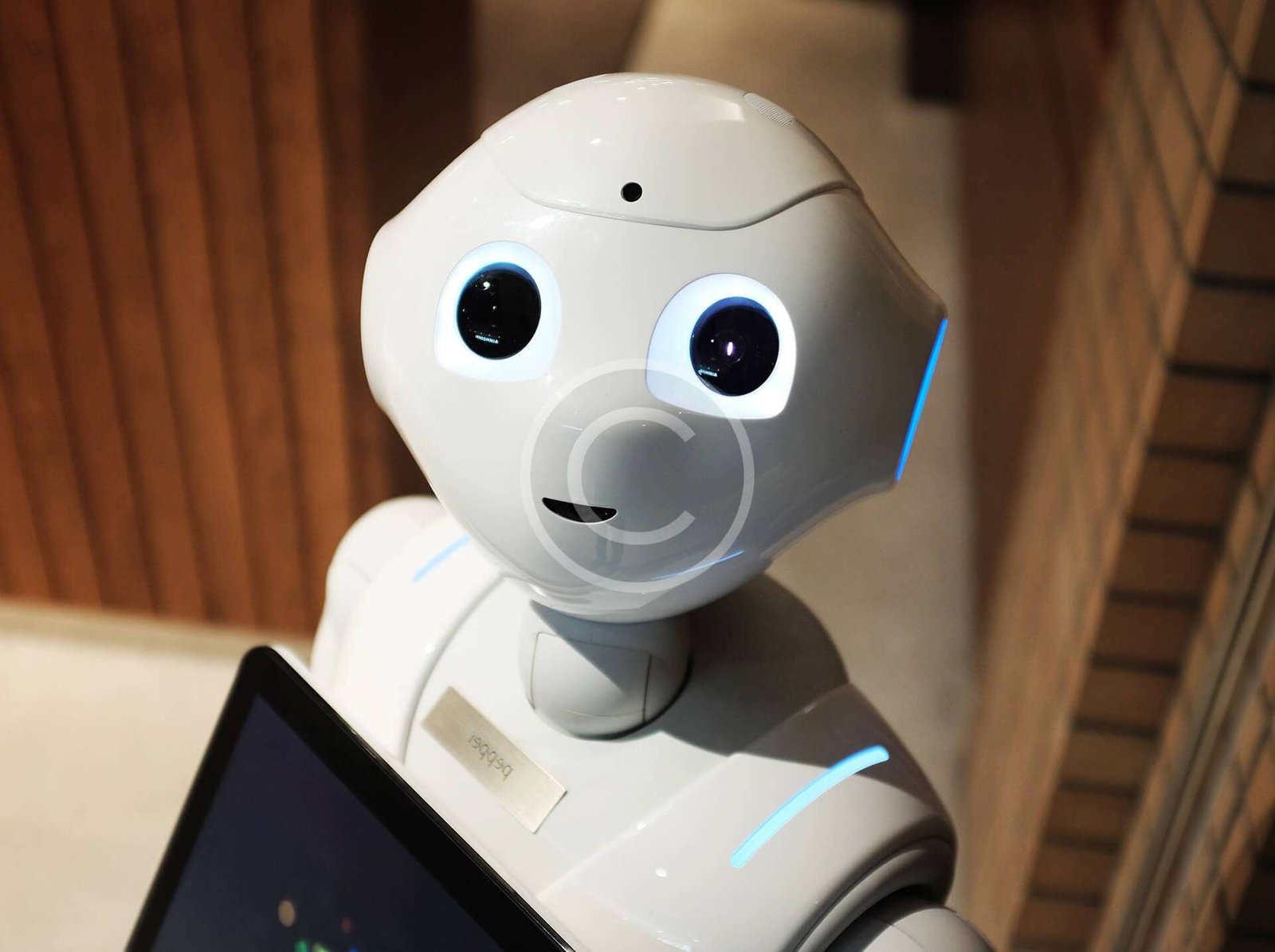 Our vision of a unique in-game item – Rofolin